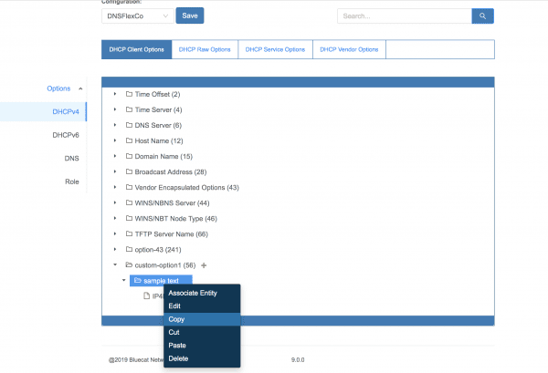DNS Automation: Managing DNS Options and Roles – BlueCat Networks