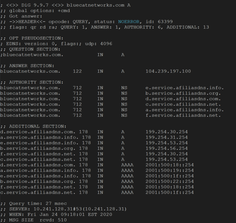 Know the eight most common DNS record types – BlueCat Networks