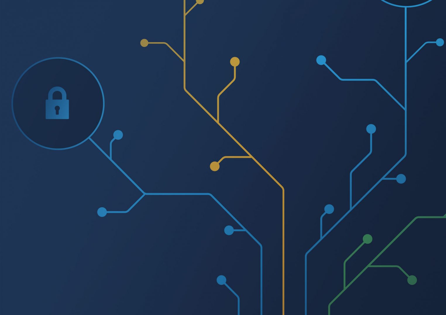 DNS Over HTTPS and Beyond: The Technology Leader's Guide to DNS in the ...