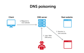Four major DNS attack types and how to mitigate them – BlueCat Networks