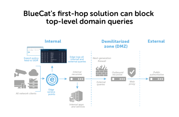Which top-level domains to block and how to do it right – BlueCat Networks