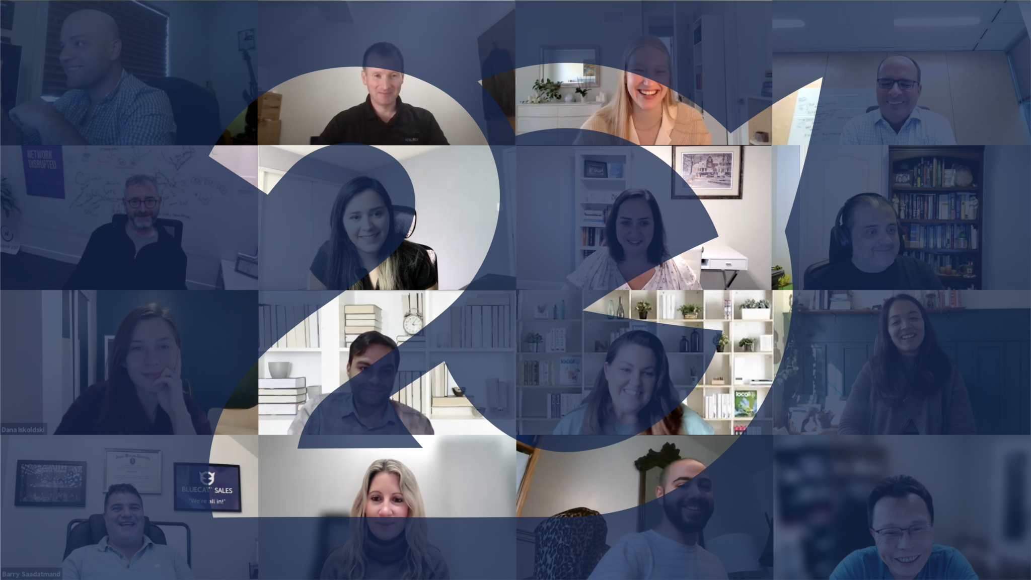 In their own words: Cats reflect on 20 years of BlueCat – BlueCat Networks