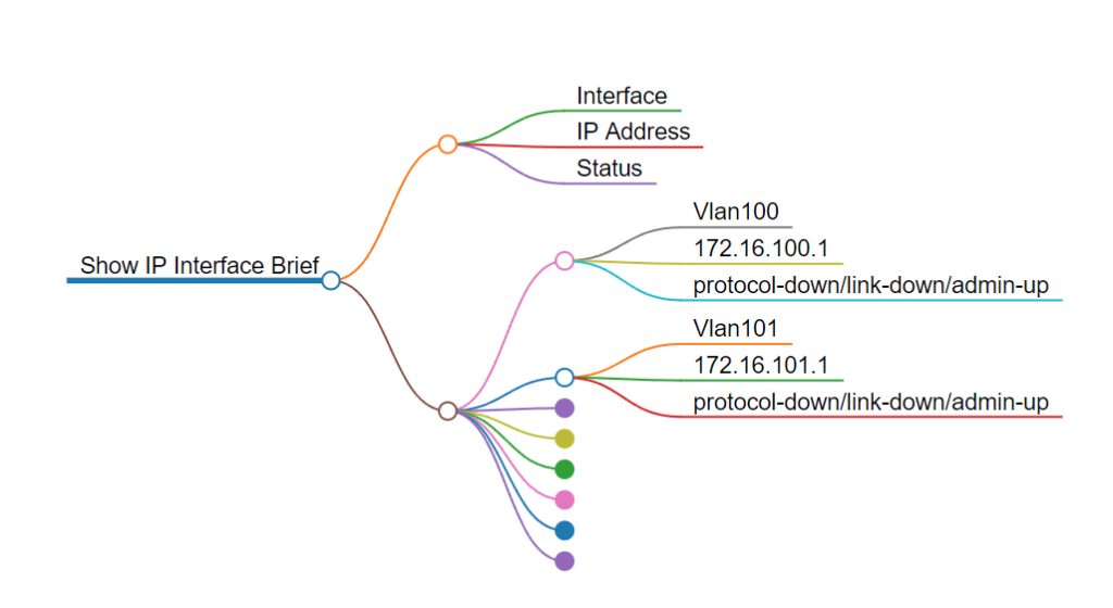 How to visualize network state data for stakeholders – BlueCat Networks