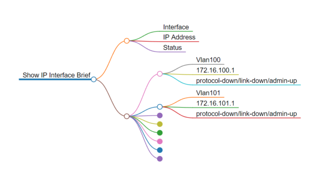 How to visualize network state data for stakeholders – BlueCat Networks
