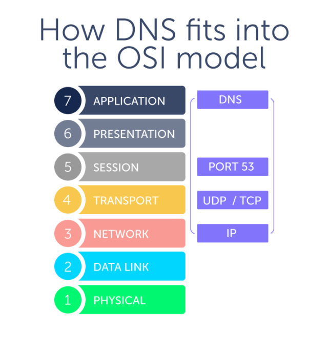 What is the OSI model? It standardizes how computer networks communicate – BlueCat Networks
