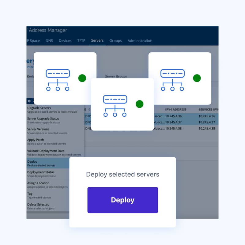 Integrity BAM and BDDS – BlueCat Networks
