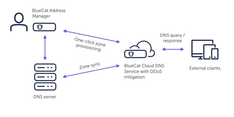 Cloud DNS Service – BlueCat Networks