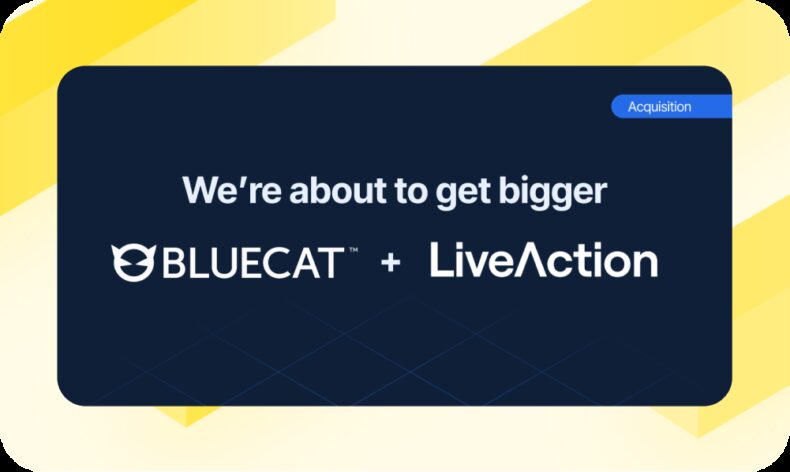 Mac Address Vs Ip Address Whats The Difference Bluecat Networks